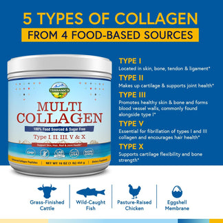 Multi Collagen Powder – Terranics