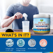 Multi Collagen Powder – Terranics