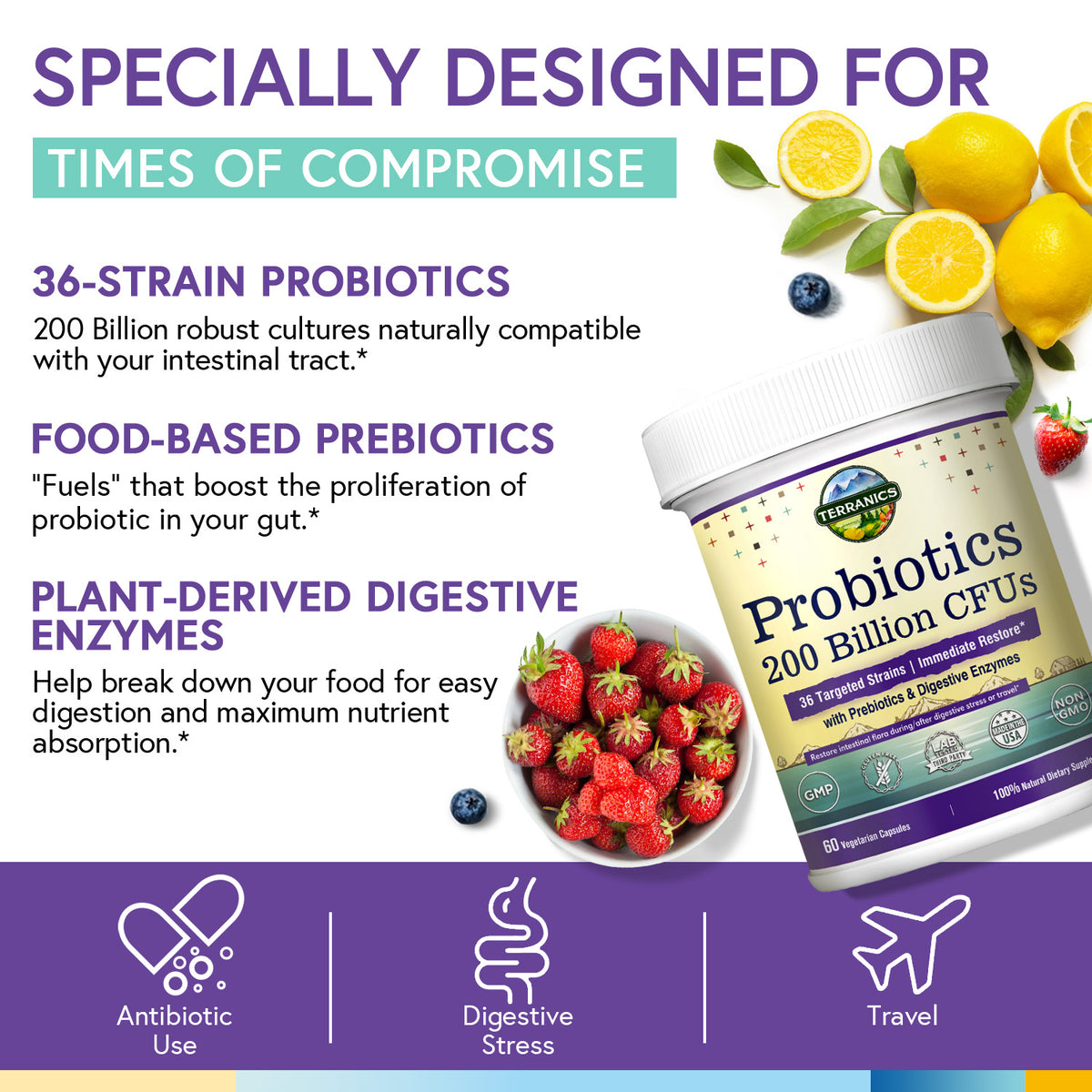 Probiotic 200 Billion CFUs – Terranics